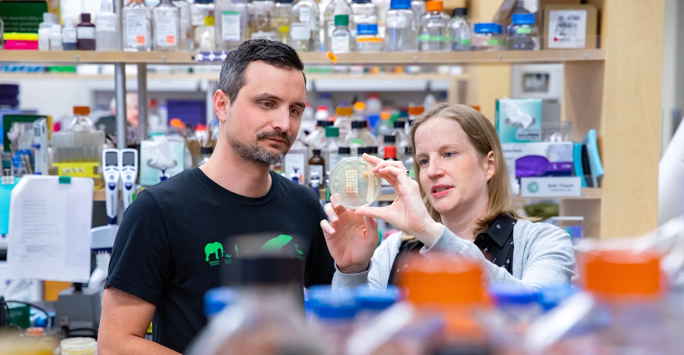 Terray Therapeutics and Calico Enter into a Multi-Target Collaboration to Discover Small ...