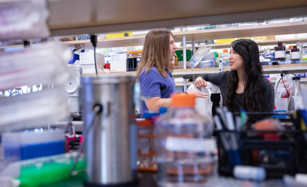 Research & Technology - Calico