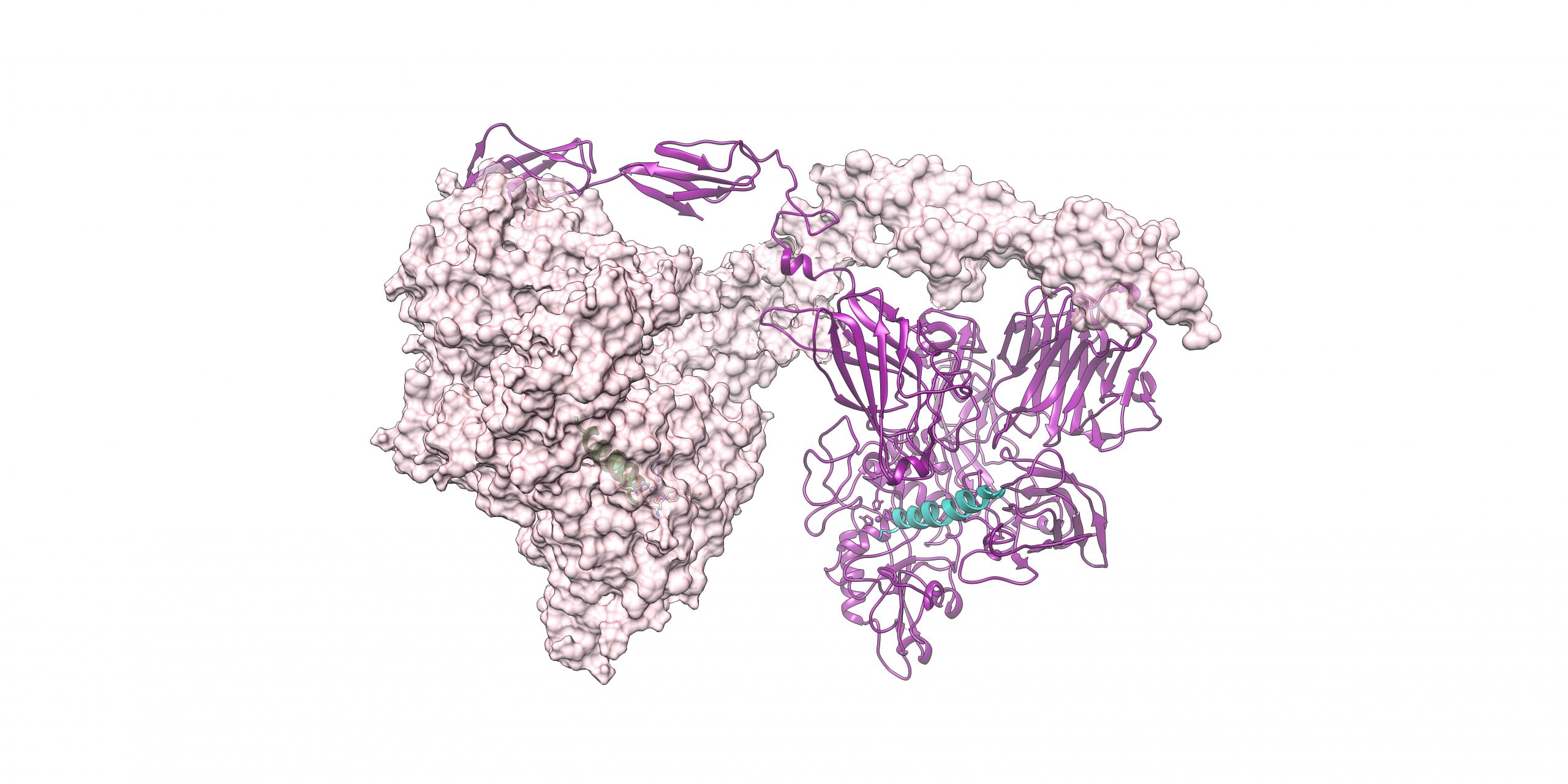 Power couple: AI together with Cryo-EM reveals new insights into age ...