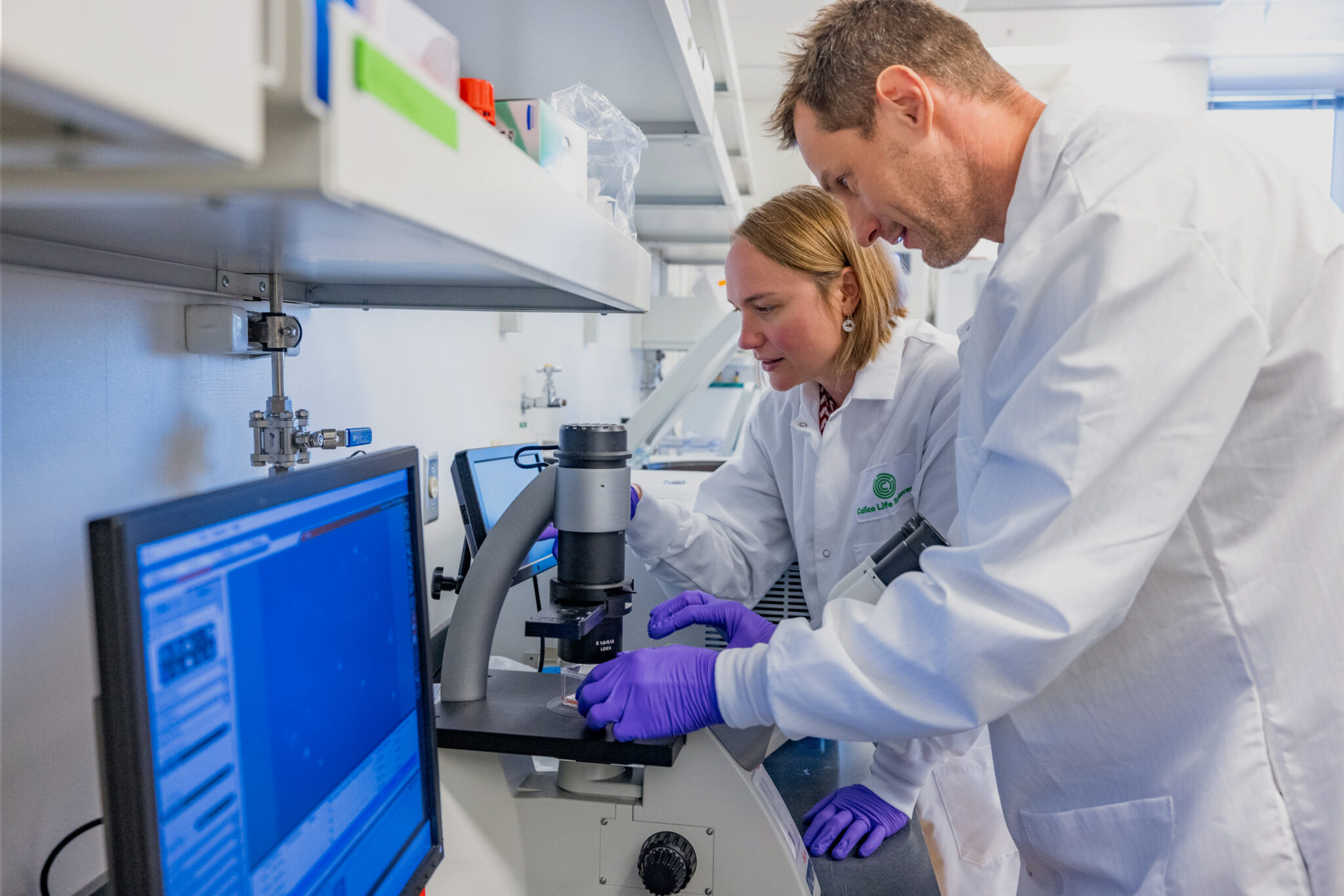 Drug Development - Calico