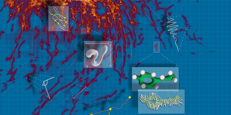 New Analysis Tool Gleans More Insights from Cell Images - Calico